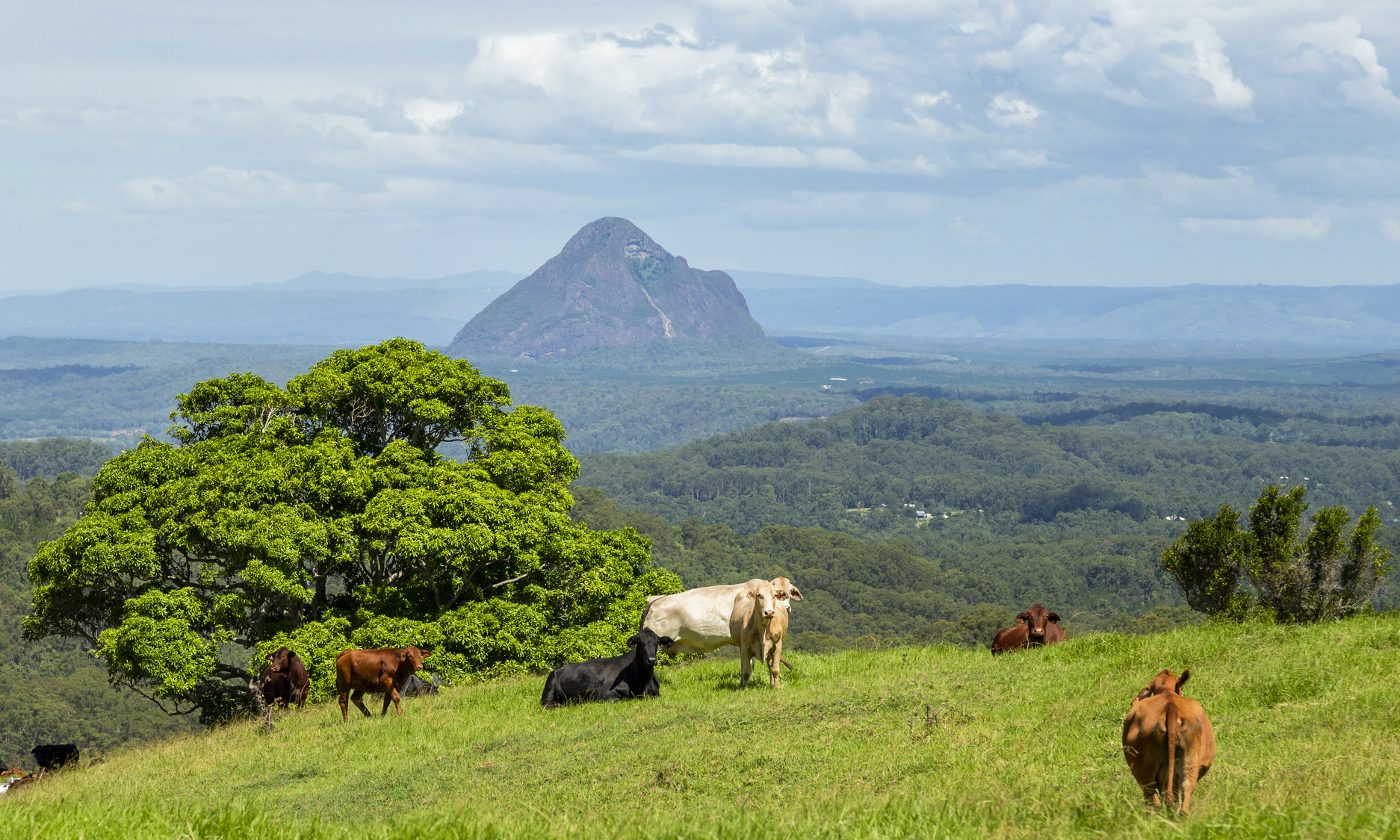 Maleny Holiday Rentals Homes Queensland Australia Airbnb