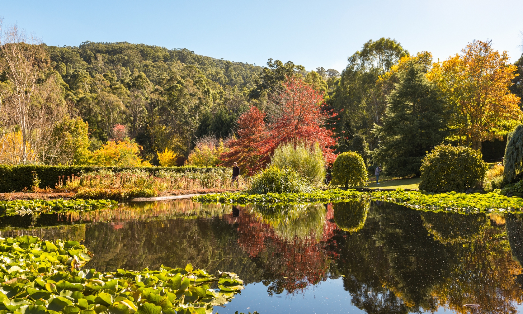 Woodend Holiday Rentals & Homes - Victoria, Australia | Airbnb