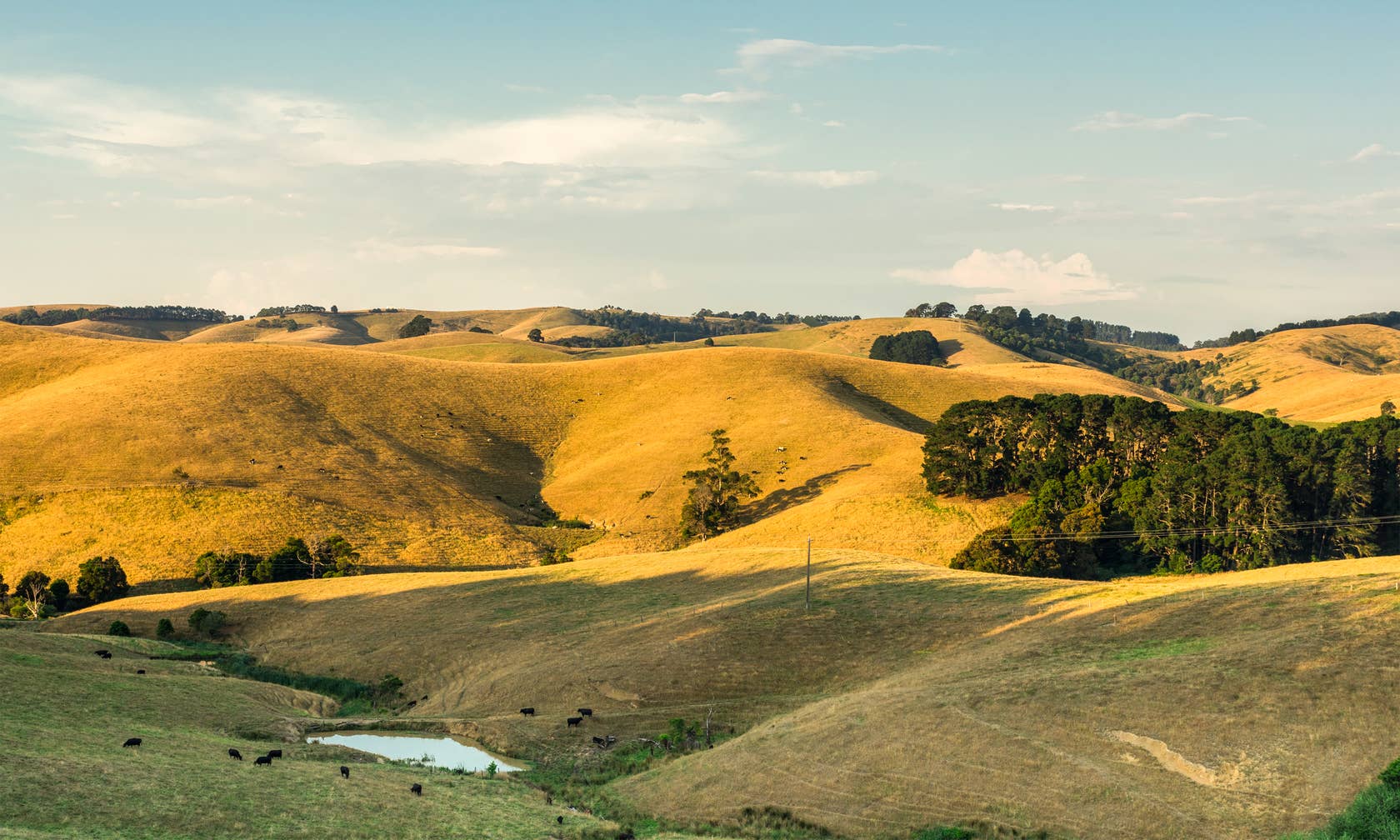 Foster Ferienwohnungen & Unterkünfte - Victoria, Australien | Airbnb