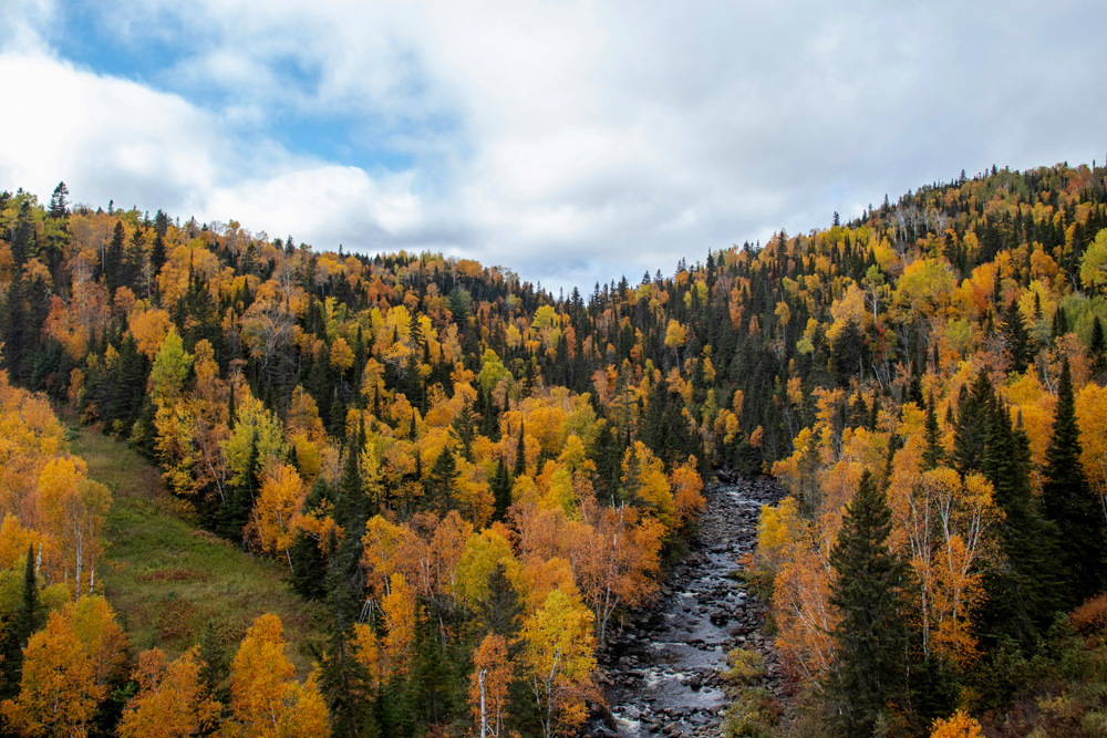 Fall in Minnesota: What To See and Do