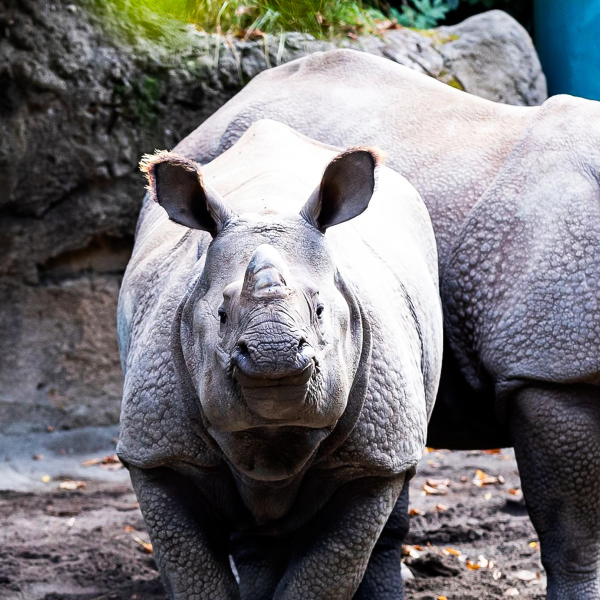 Seattle in summer: best things to do and see