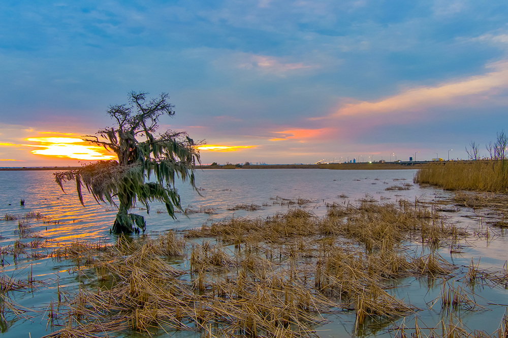 Winter in Alabama: The 8 Best Places To Visit