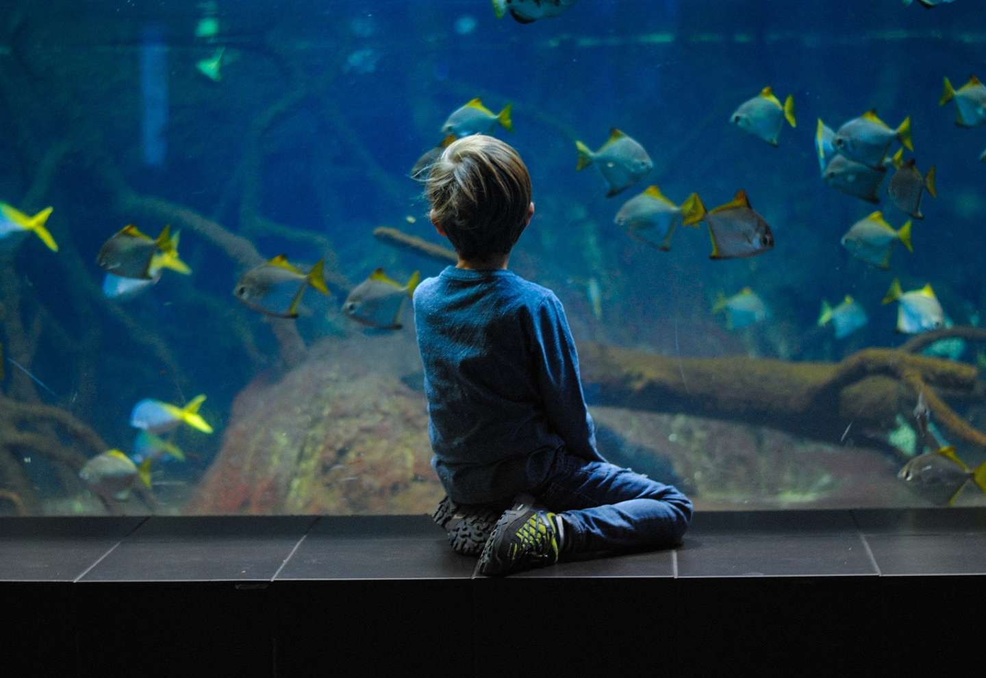 8 Things To Do In Mexico City With Kids And Teens