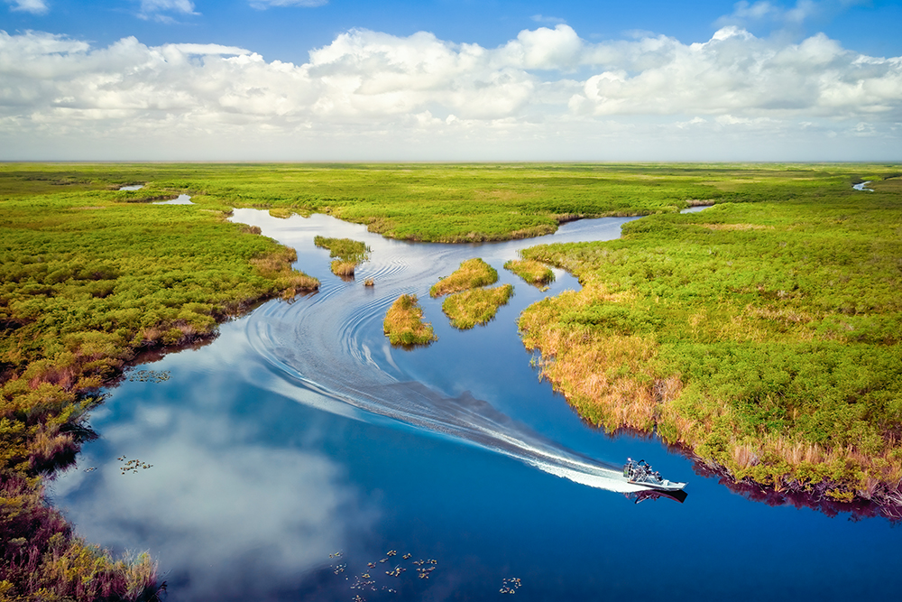 Best Time To Visit Everglades National Park: Detailed Guide