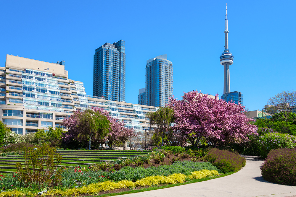 The 8 Best Things To Do in Toronto in Spring