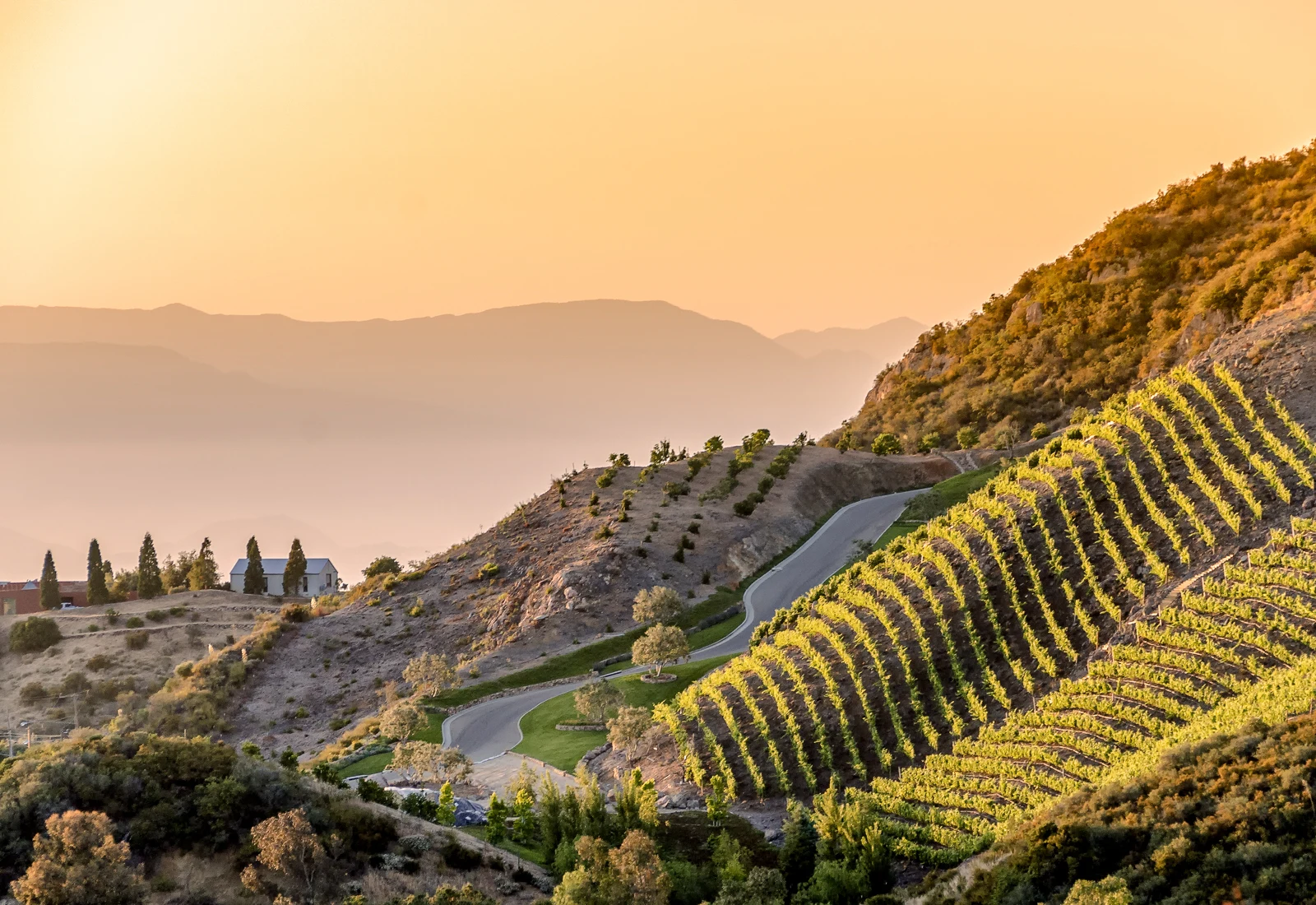 California’s most delicious food and drink experiences