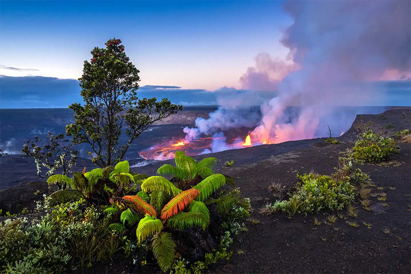 Visit Hawaii Volcanoes National Park: Travelers’ Questions Answered