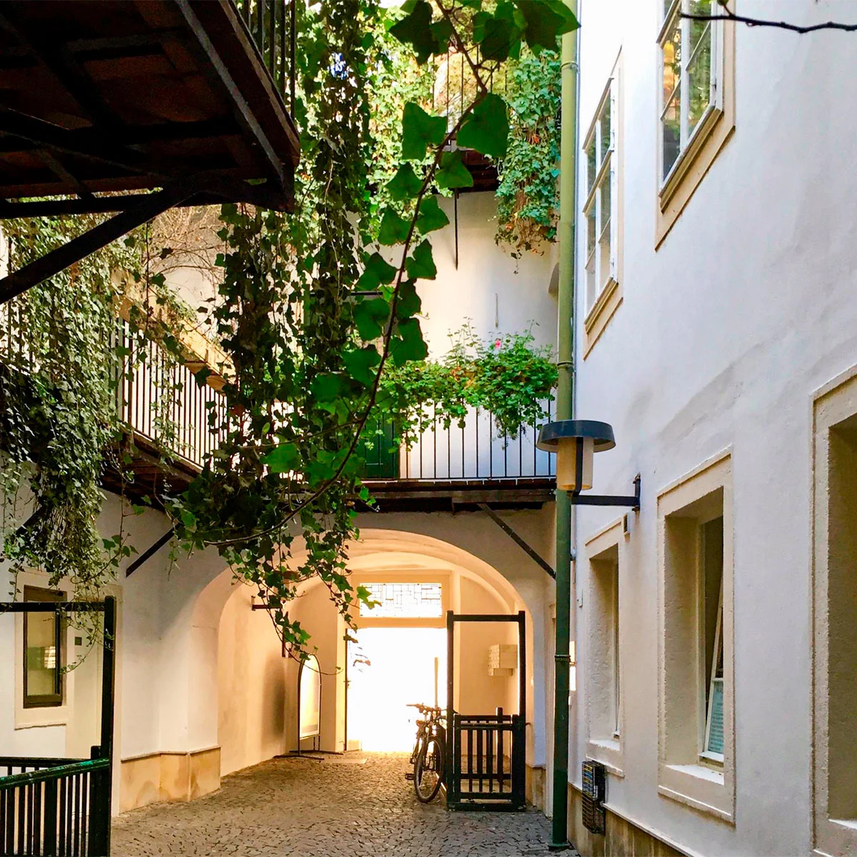 20 fun and unique things to do in Vienna