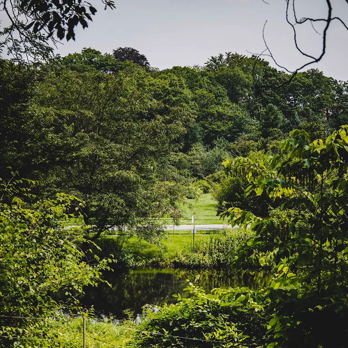 Boston’s unmissable landmarks and historical sights