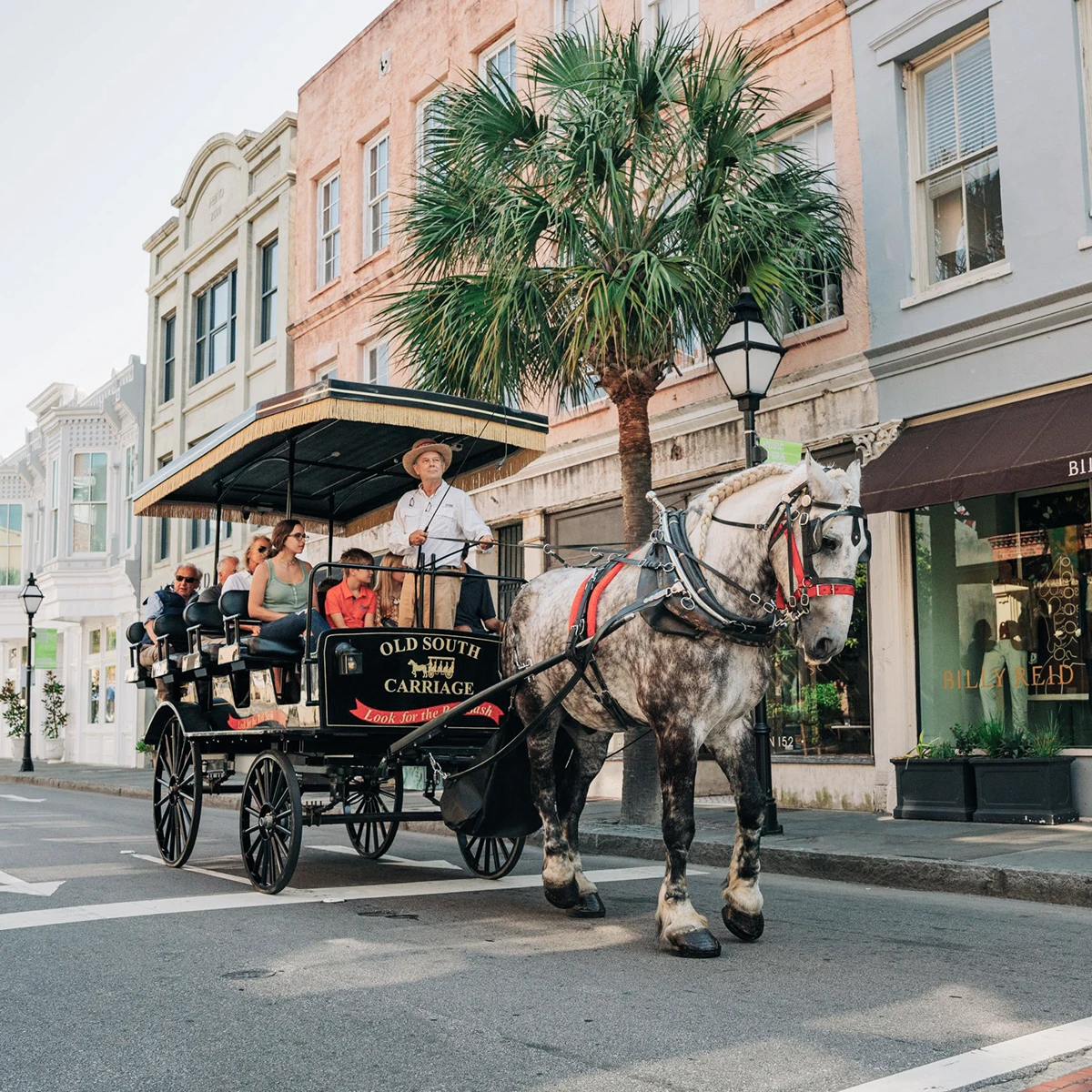 10 Fun family-friendly activities in Charleston