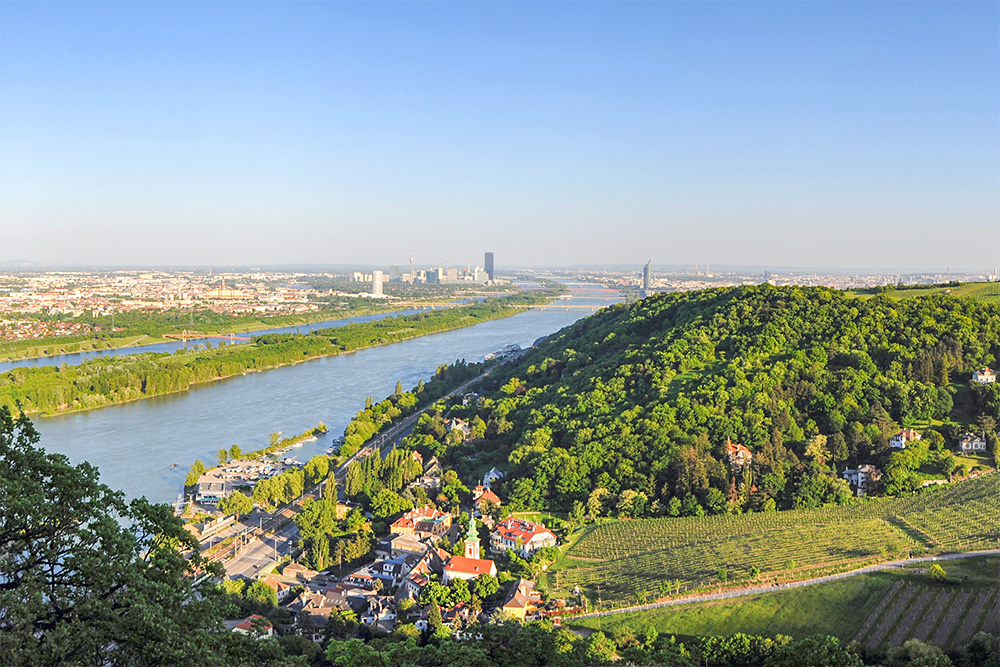 Hiking in Vienna: 5 Spectacular Trails