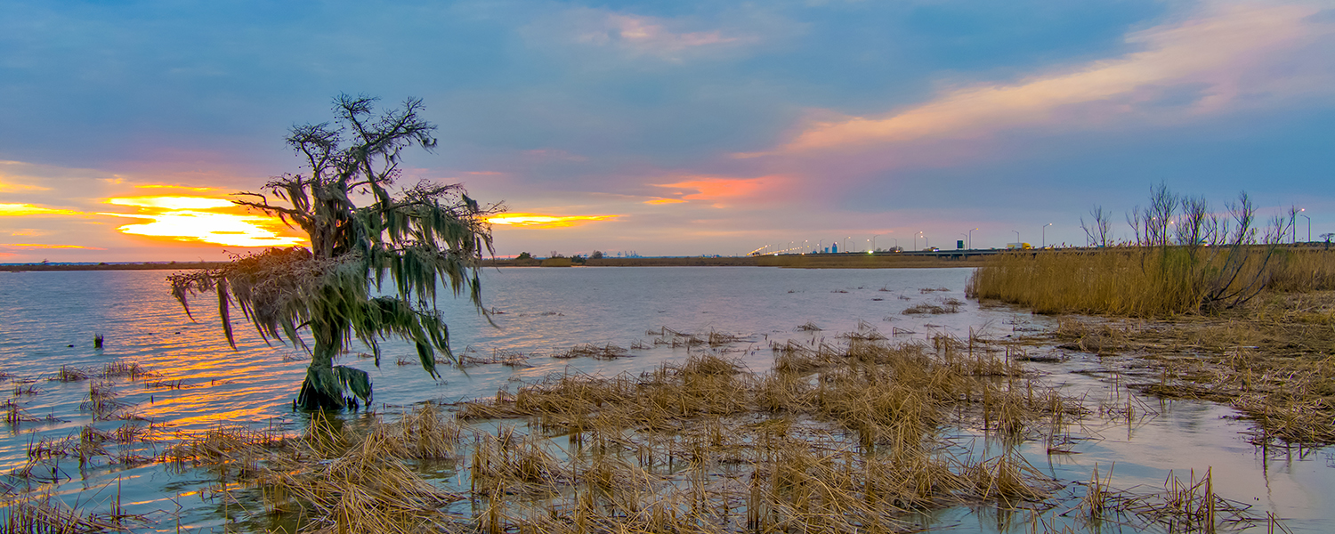 Winter in Alabama: The 8 Best Places To Visit