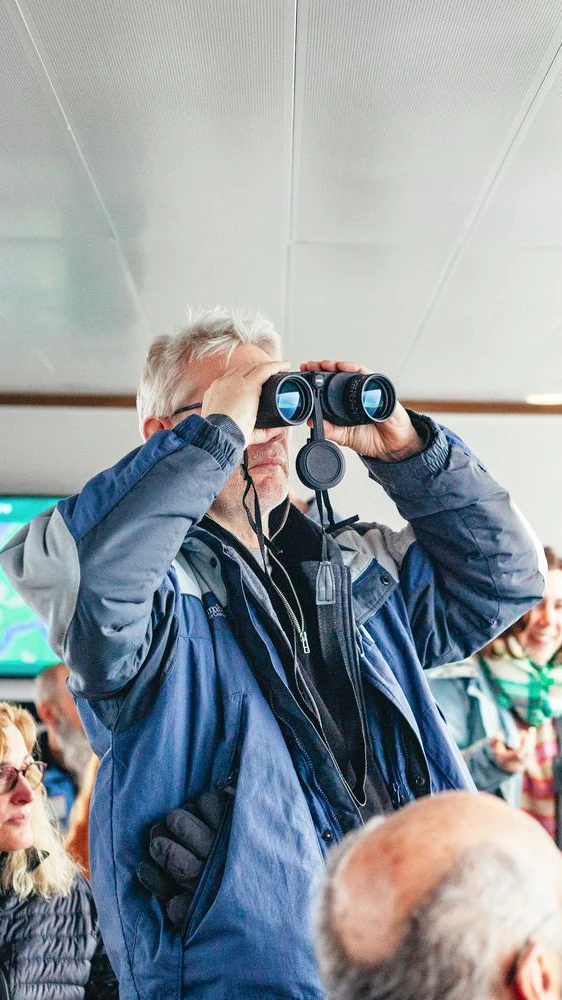 The ultimate guide to whale watching in Norway