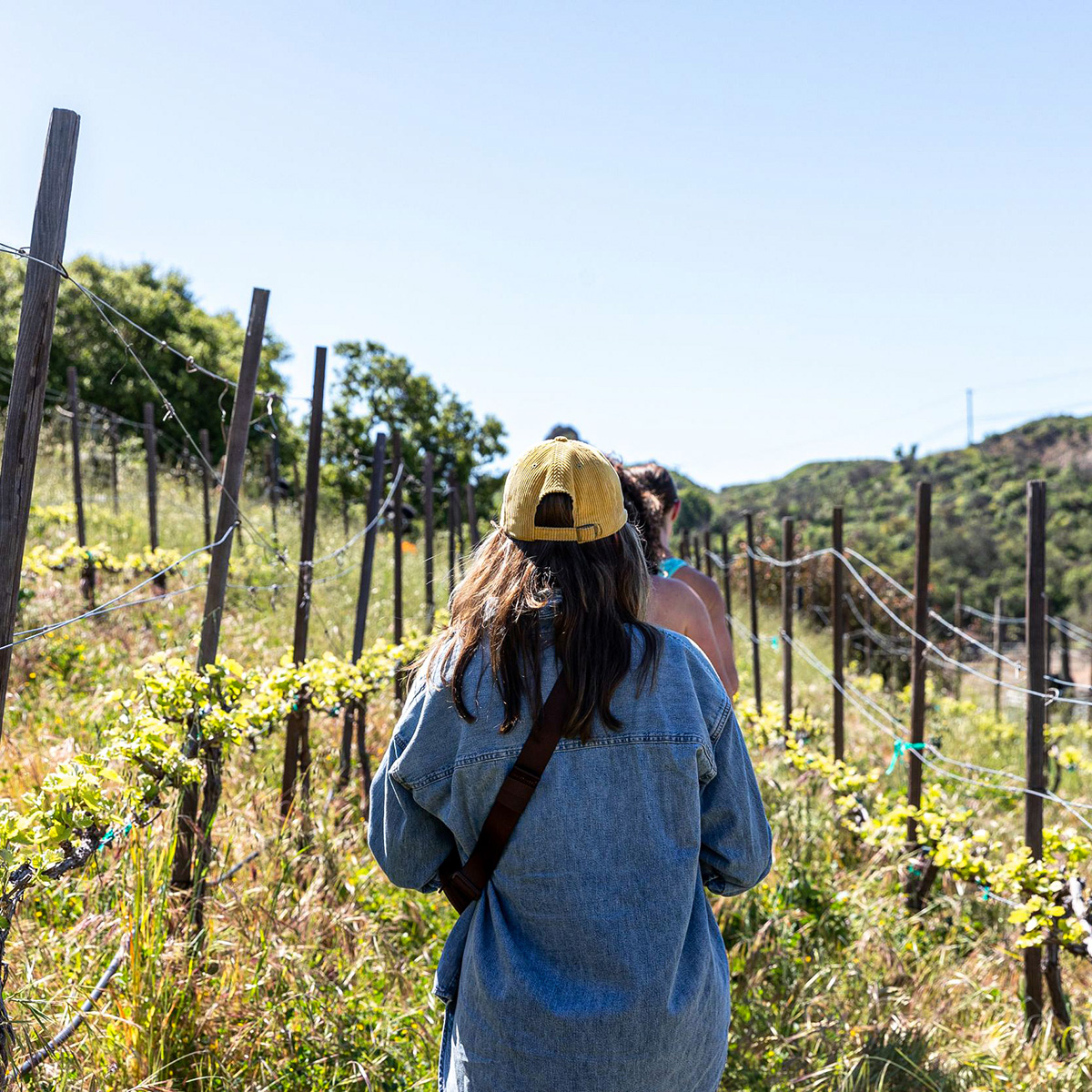 20 fun and unique things to do in Los Angeles