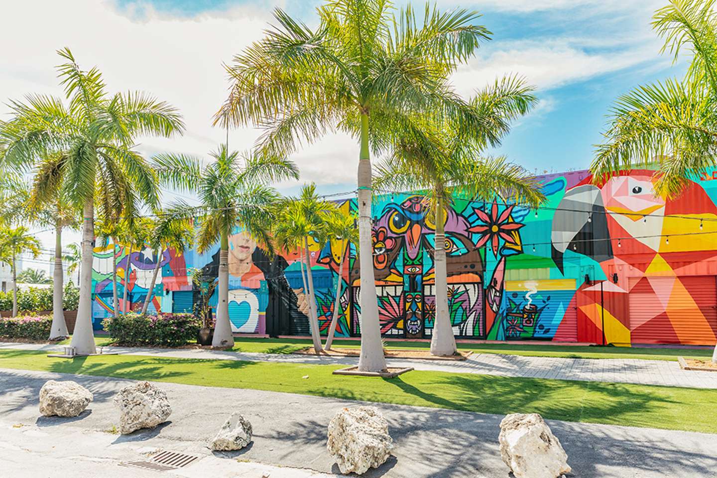 Discover 5 Authentic Miami Activities You Can’t Miss