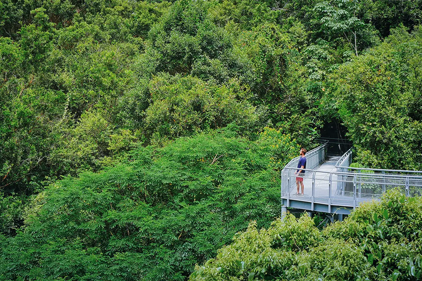 Hiking in Singapore: 8 Spectacular Trails