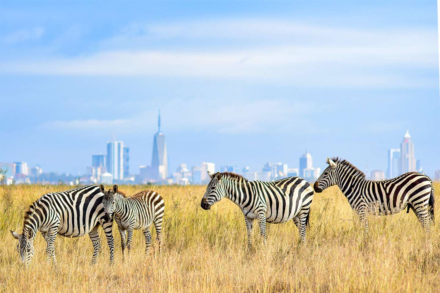 Best Time To Visit Nairobi: A Month-by-Month Guide