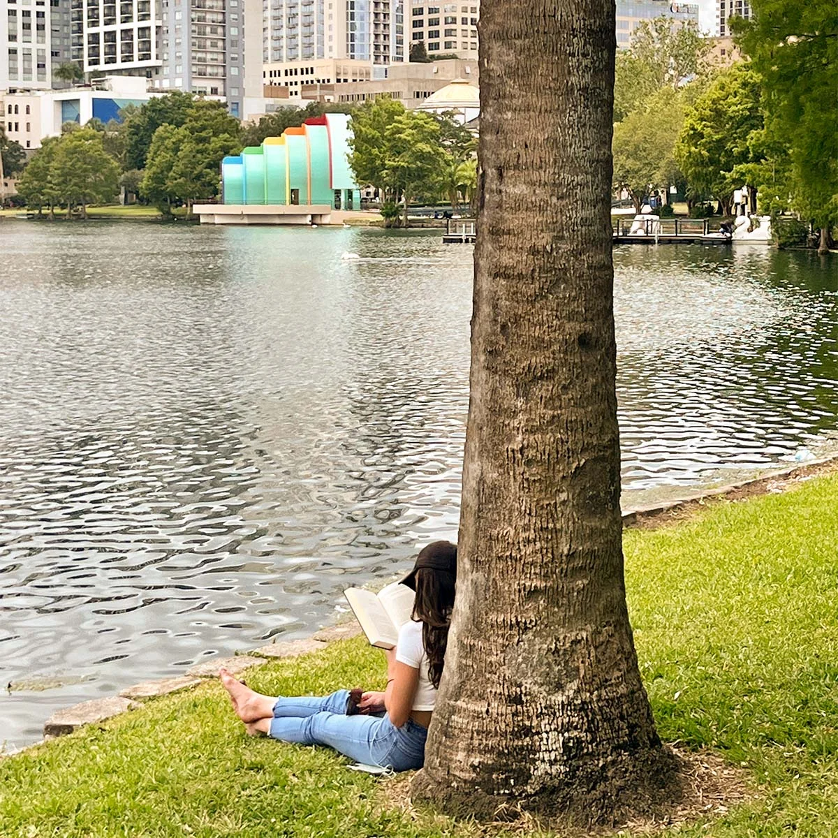 Best places to visit in Orlando: top attractions you don't want to miss