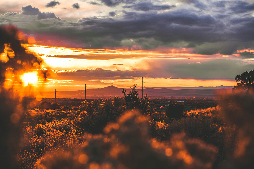 8 Things To Do in Spring in New Mexico