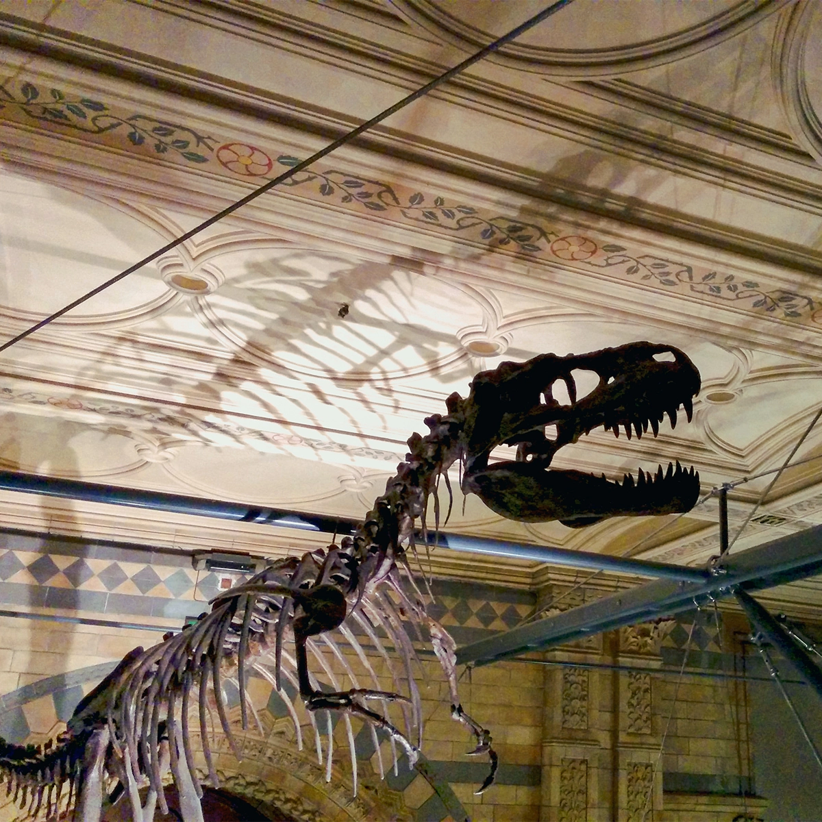 The 20 best museums in Barcelona