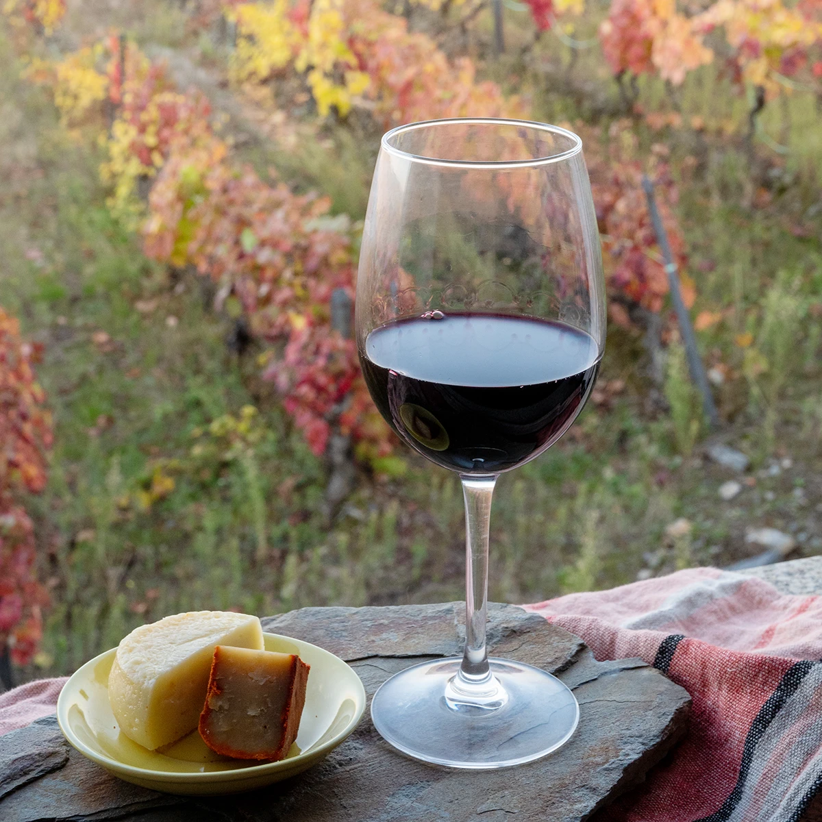 20 fun and unique things to do in Porto