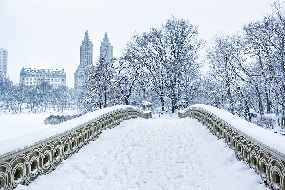 Winter in New York: 8 Fun Things To Do in NYC in Winter