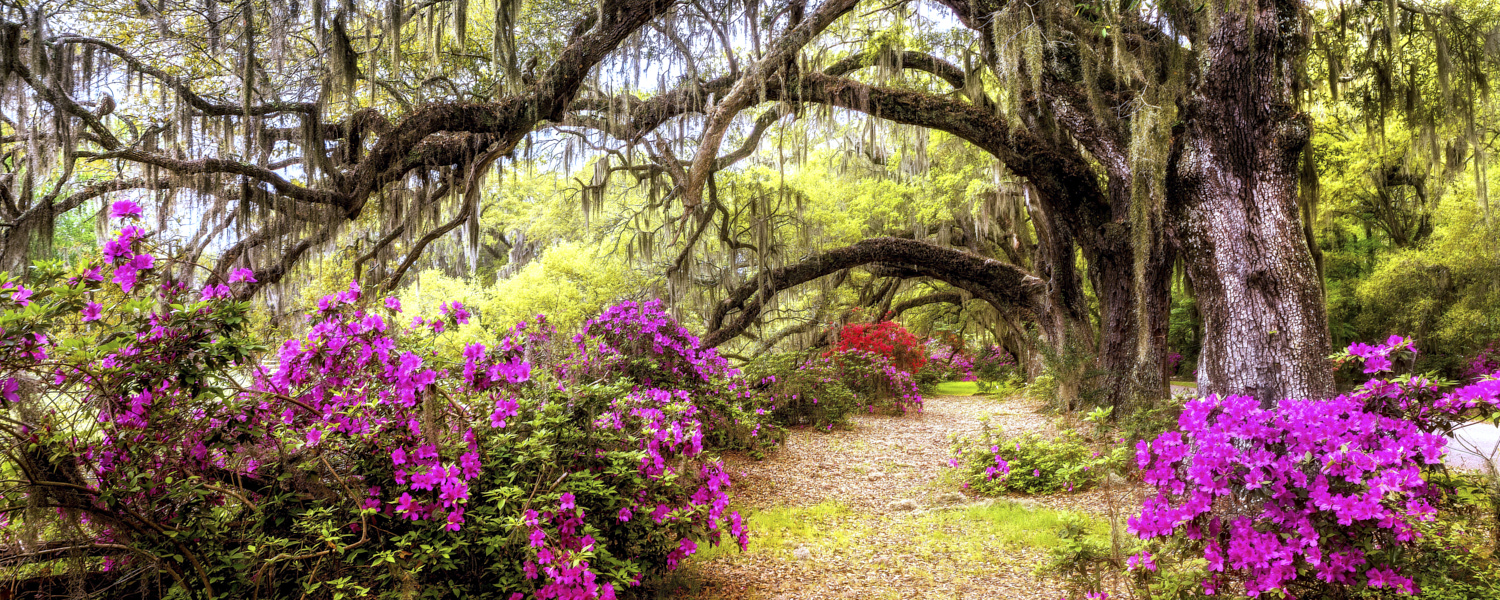 Things To Do in South Carolina: The 11 Best Places To Visit