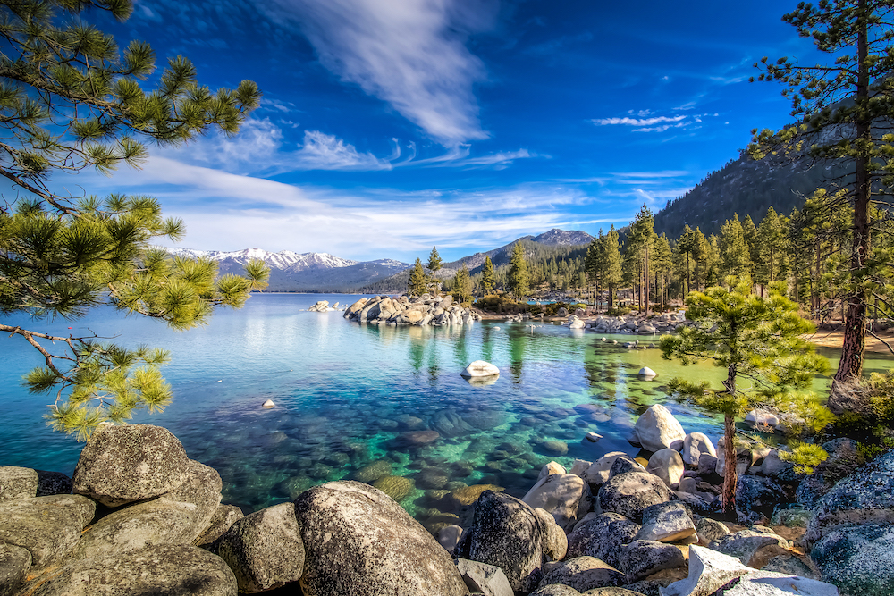Spring in Nevada: What to See and Do