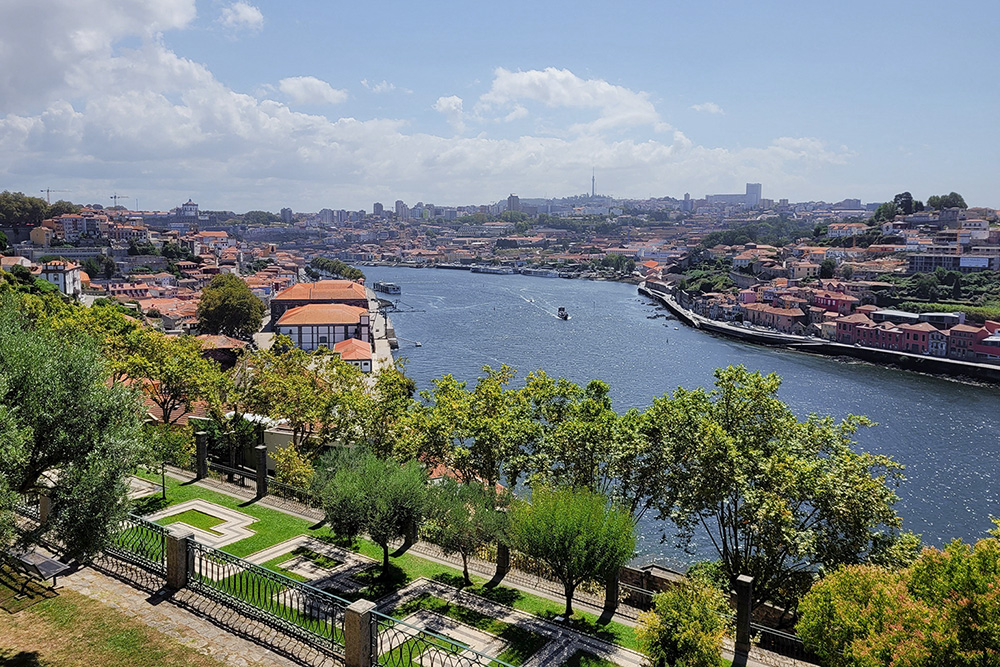 Essen in Porto: 11 Gerichte, die Einheimische essen (plus Portwein)
