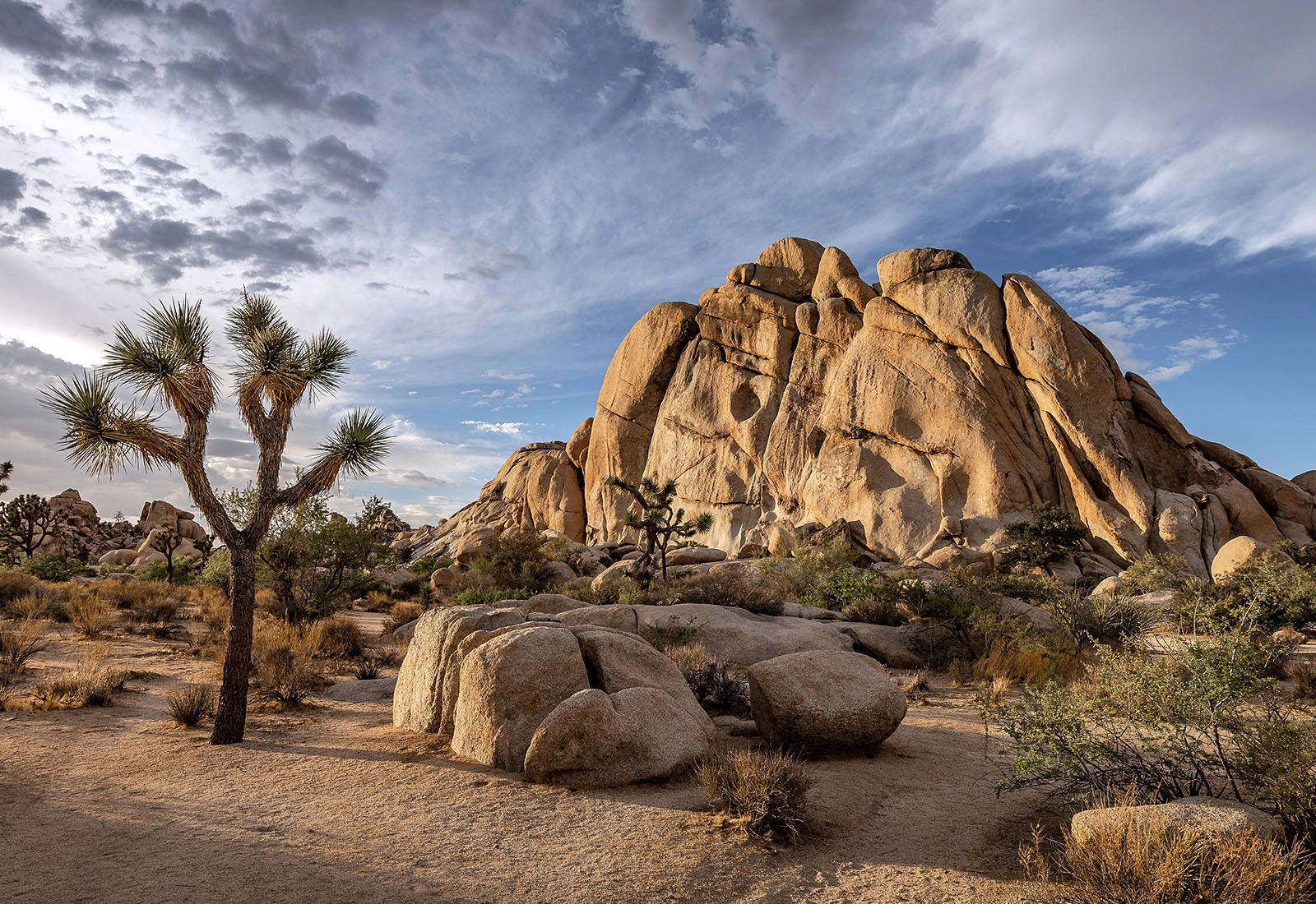 The ultimate guide to discovering California