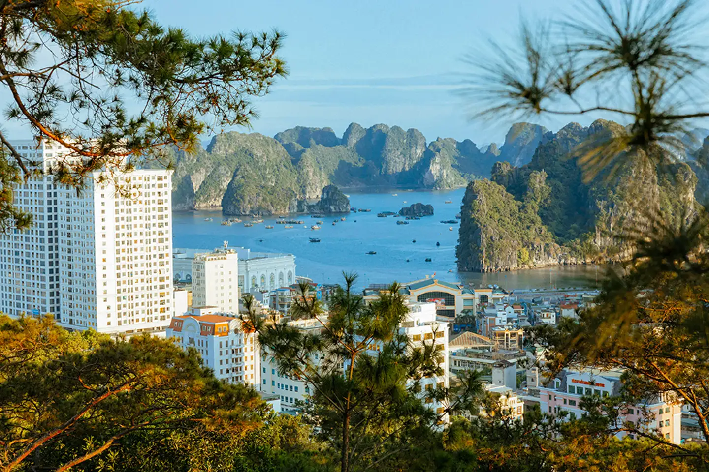 Ha Long Travel Guide | Insider tips, hidden gems, itineraries and more