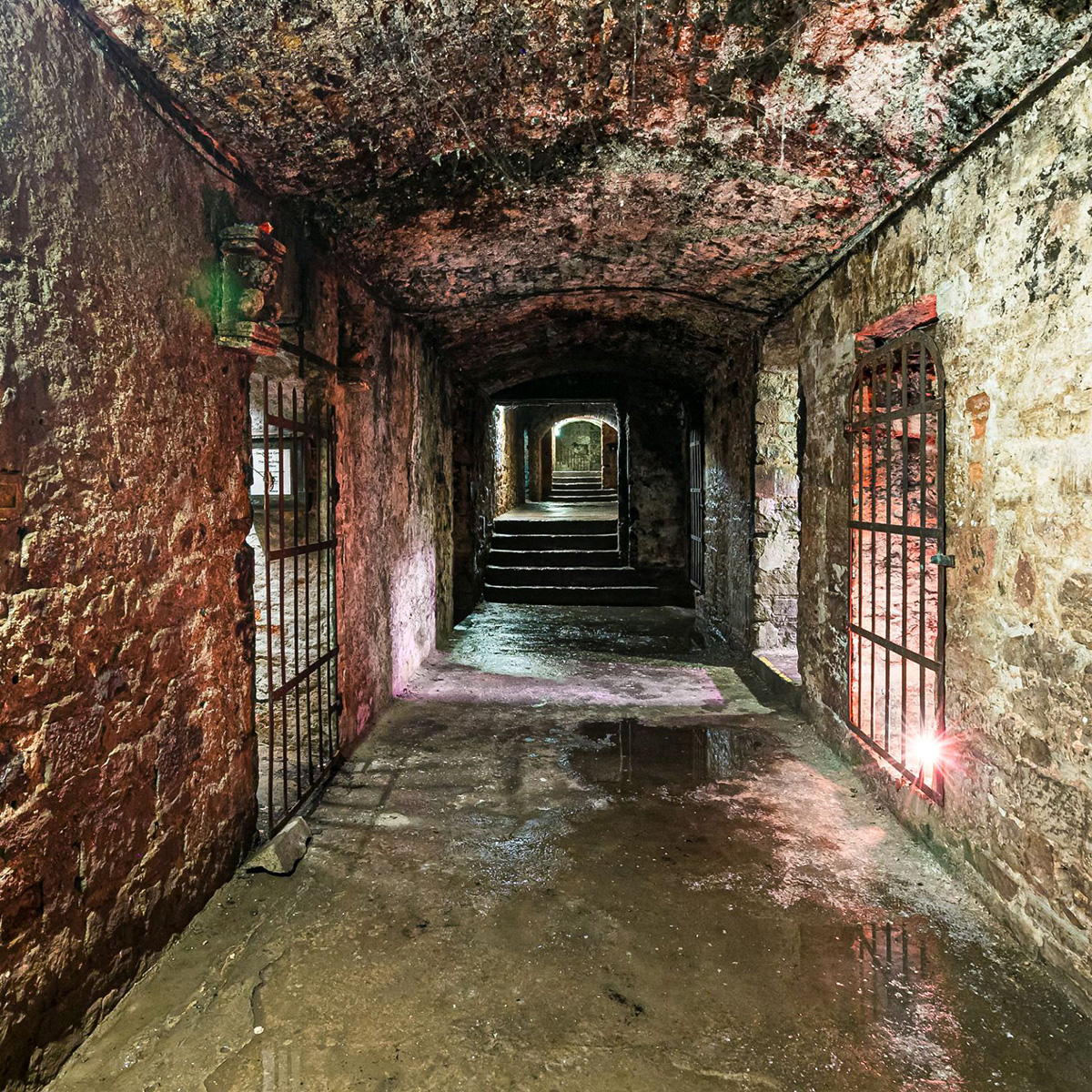 Explore off the beaten path with Edinburgh's best hidden gems