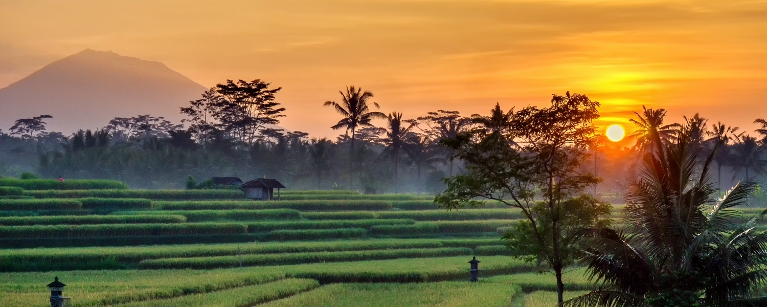 9 Melhores lugares para você visitar em Ubud o ano todo