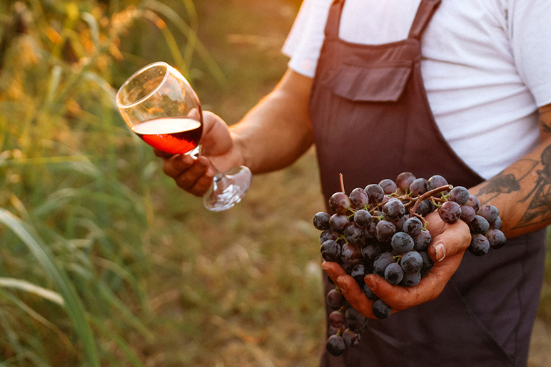 8 Incredible Regions for Wine Tasting in the USA
