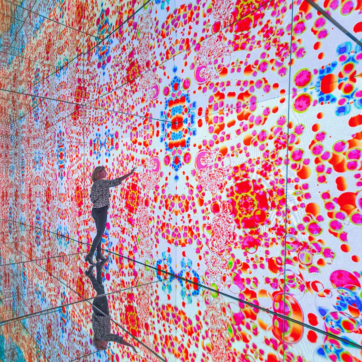 The best places to visit in Amsterdam