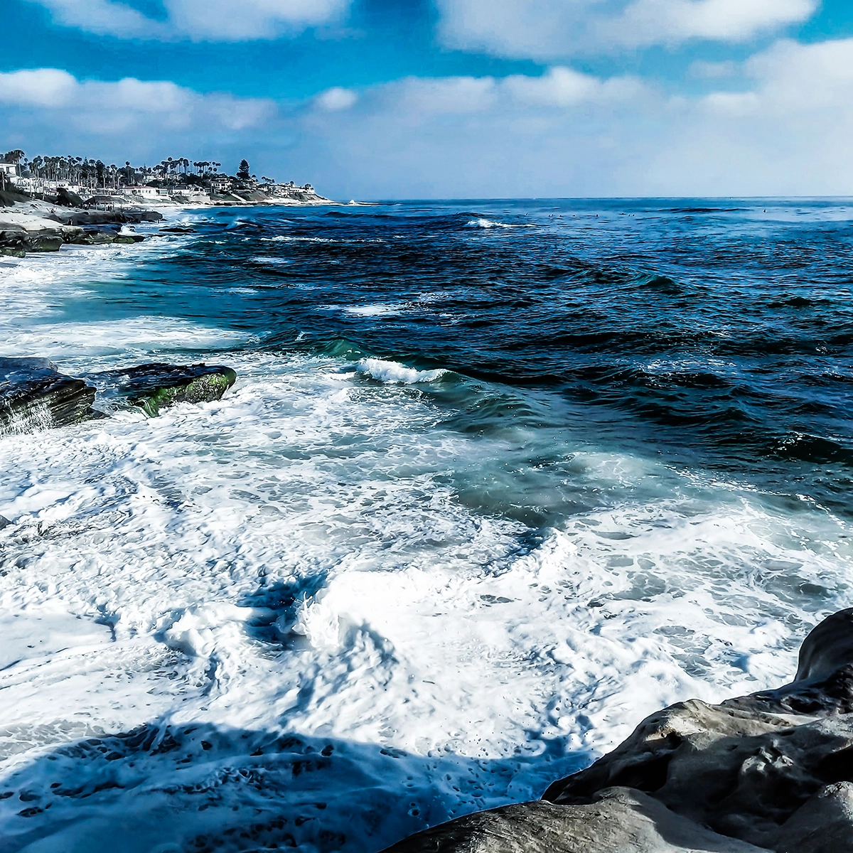 20 Fun Things To Do In San Diego Right Now