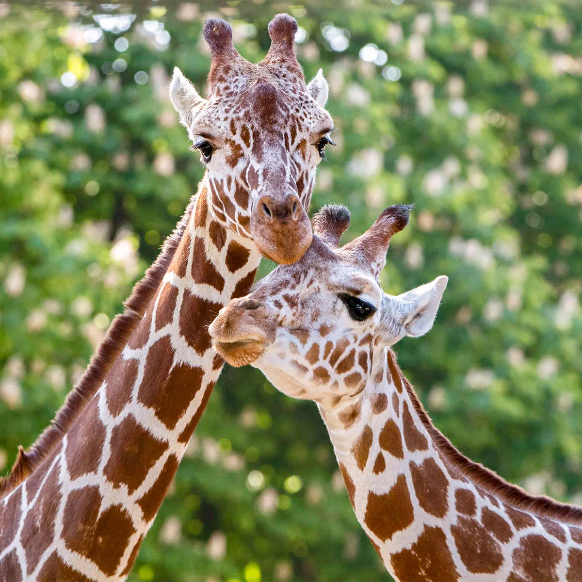 10 Fun family-friendly activities in Vienna