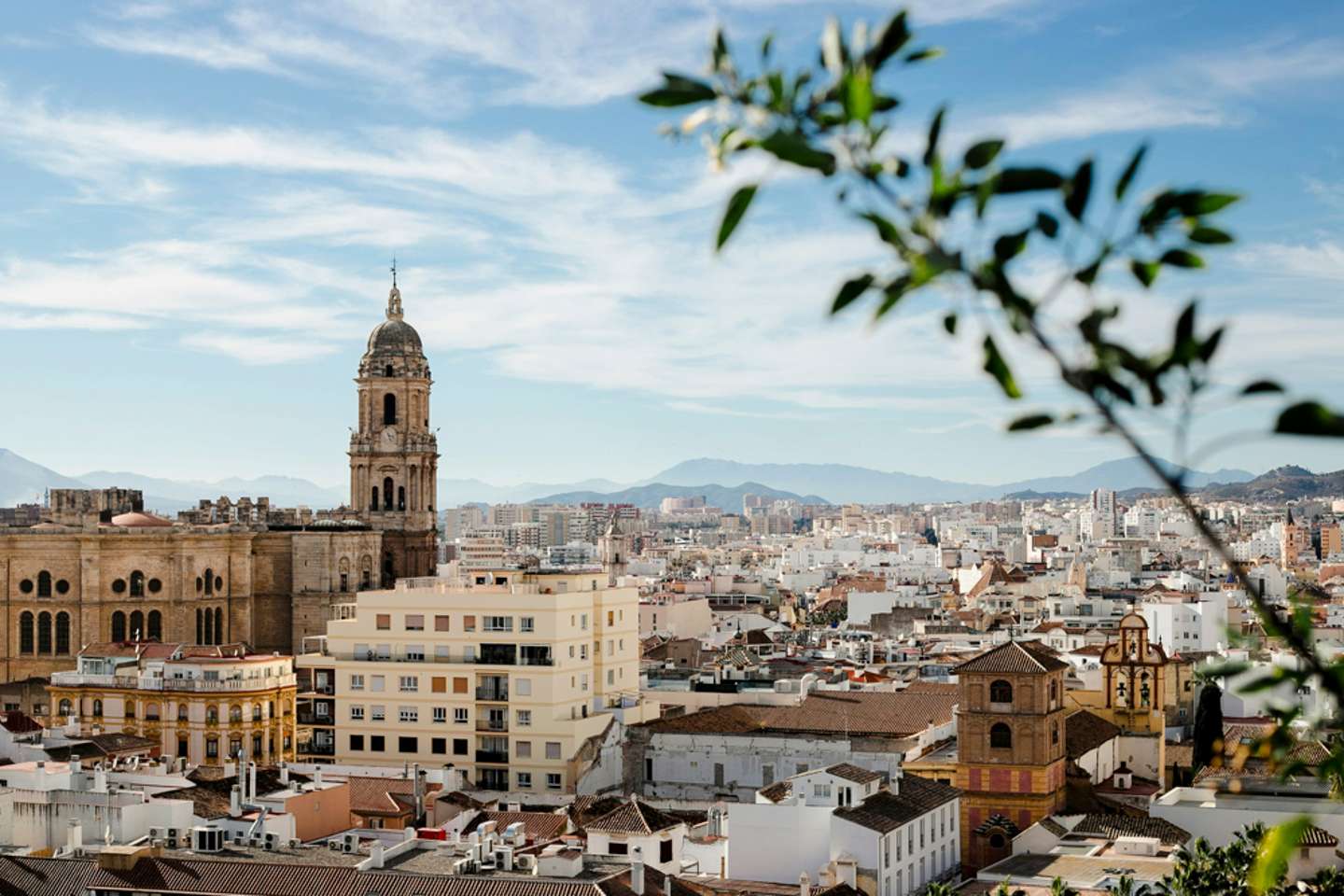 11 Unique and Fun Things to Do in Málaga