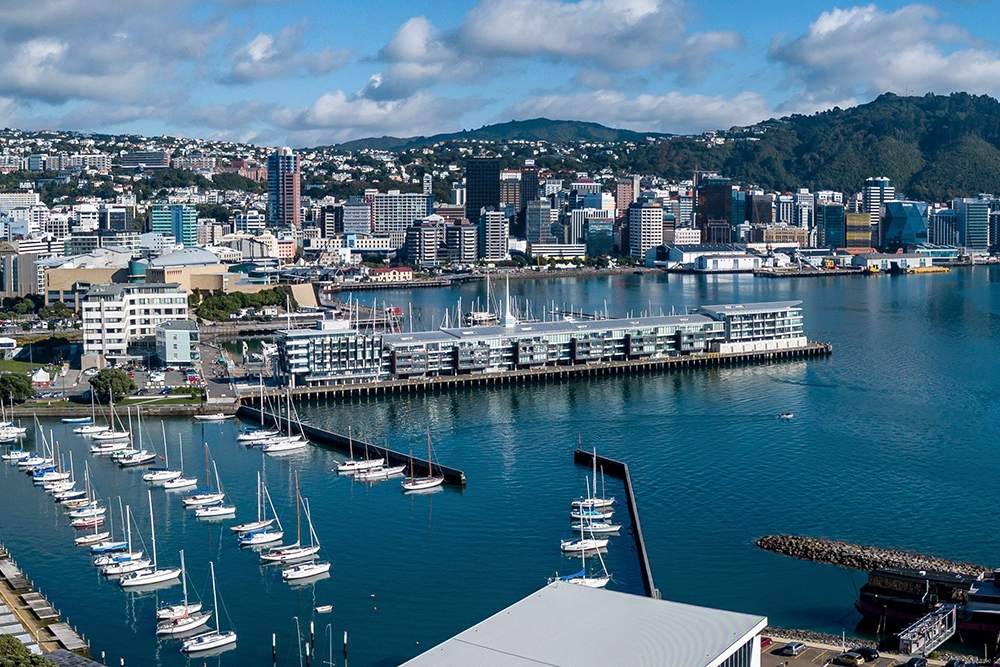 Top 10 Fun Things to Do in Wellington