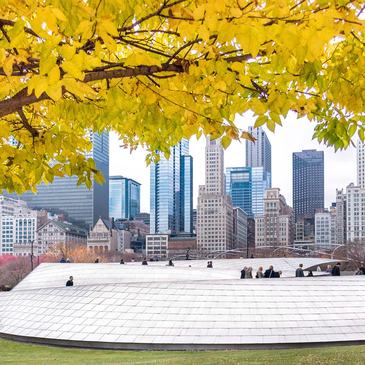 19 fun and unique things to do in Chicago