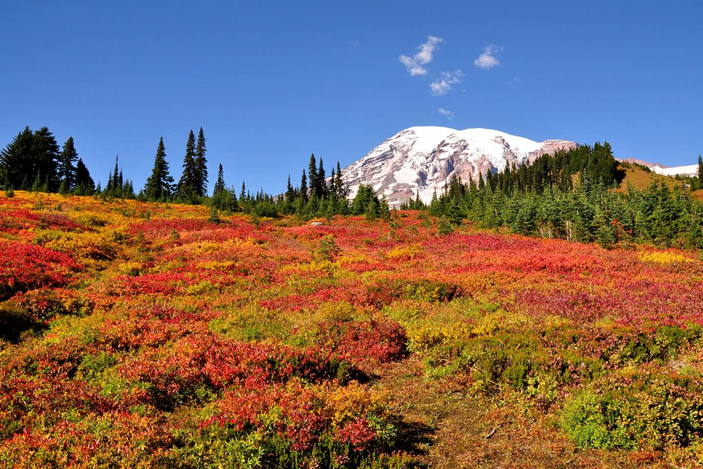 Fall in Washington: What To See and Do