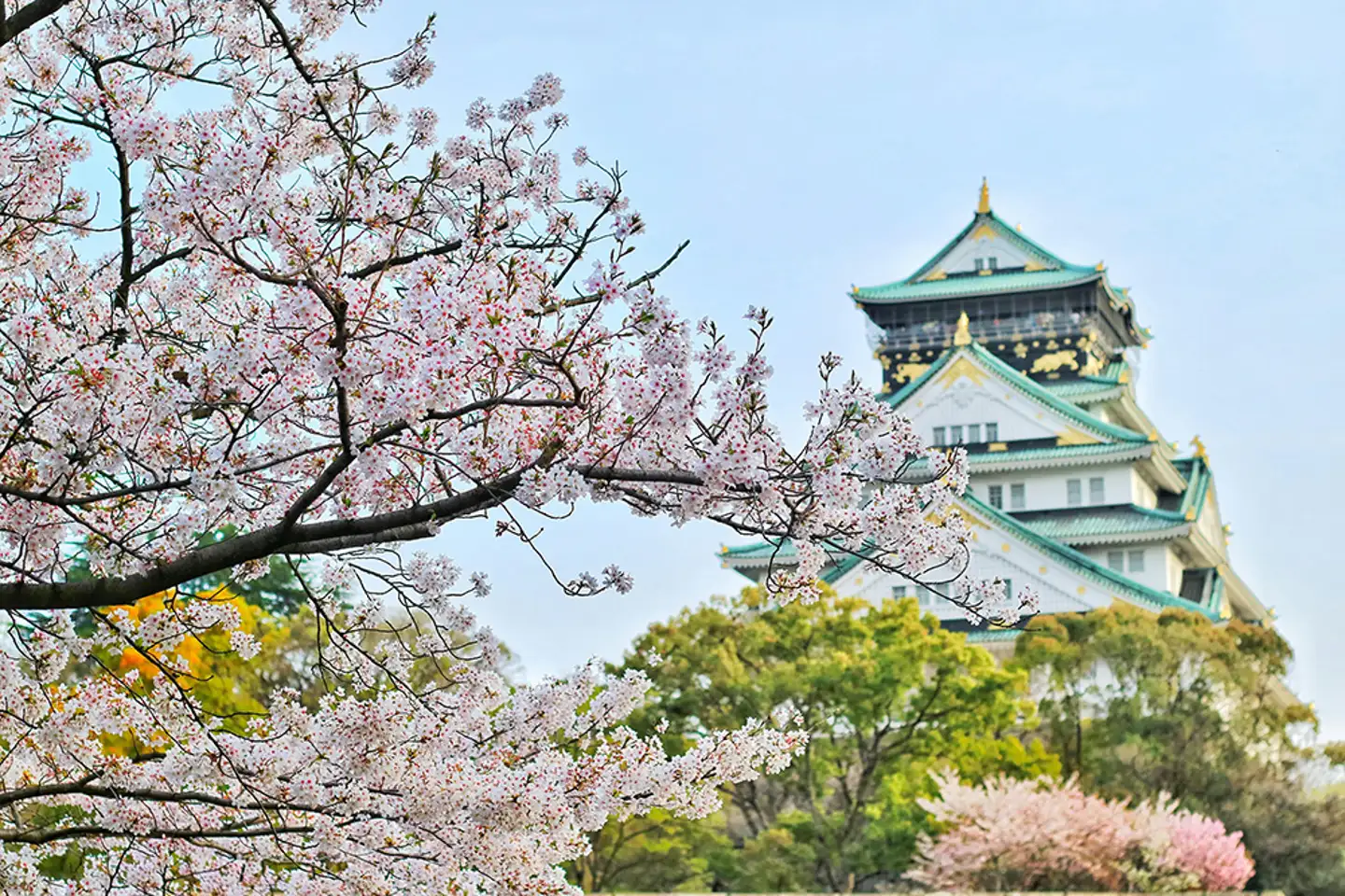 Osaka in Spring: Best Things to See and Do