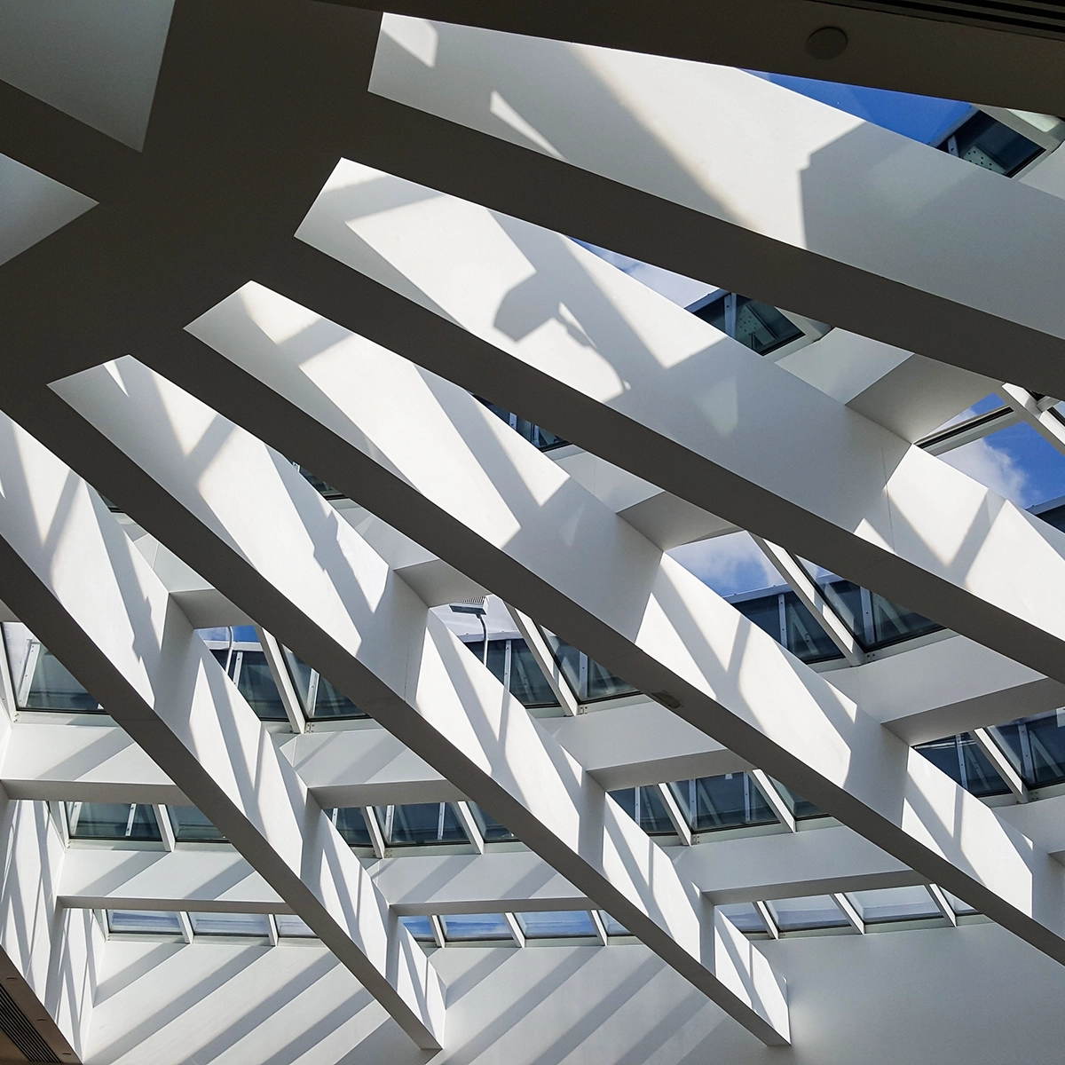 Best places to visit in Atlanta: top attractions you don't want to miss