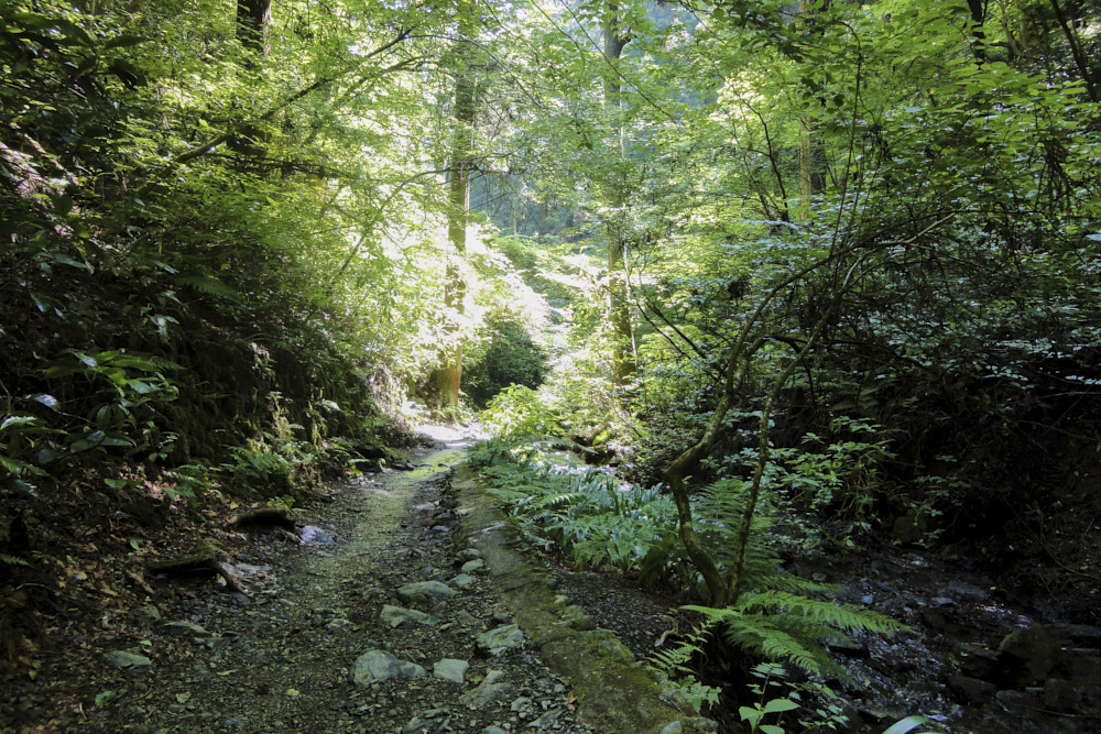 Discover the Best Walking Trails in Tokyo