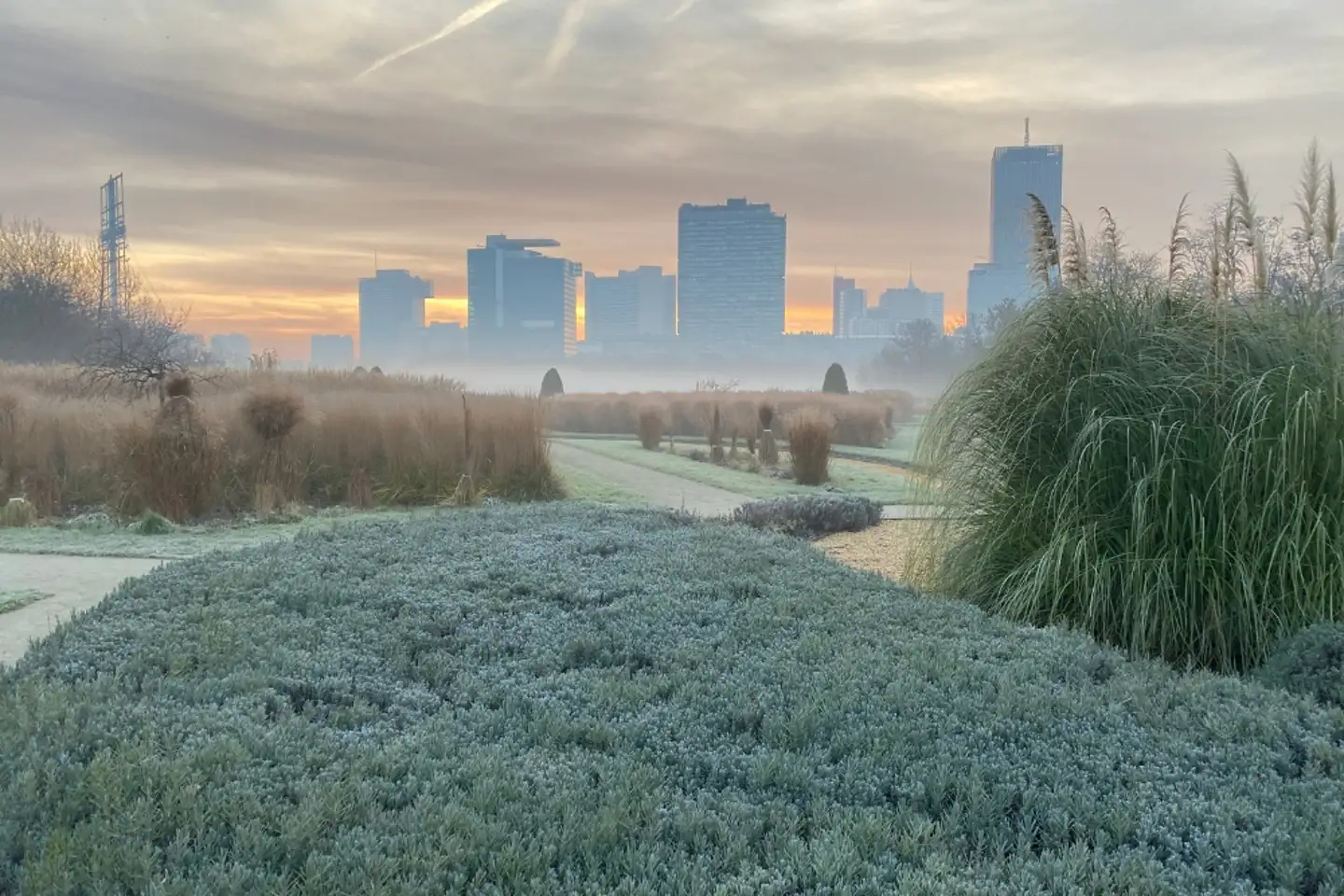 Visiting Vienna in January: What You Need To Know