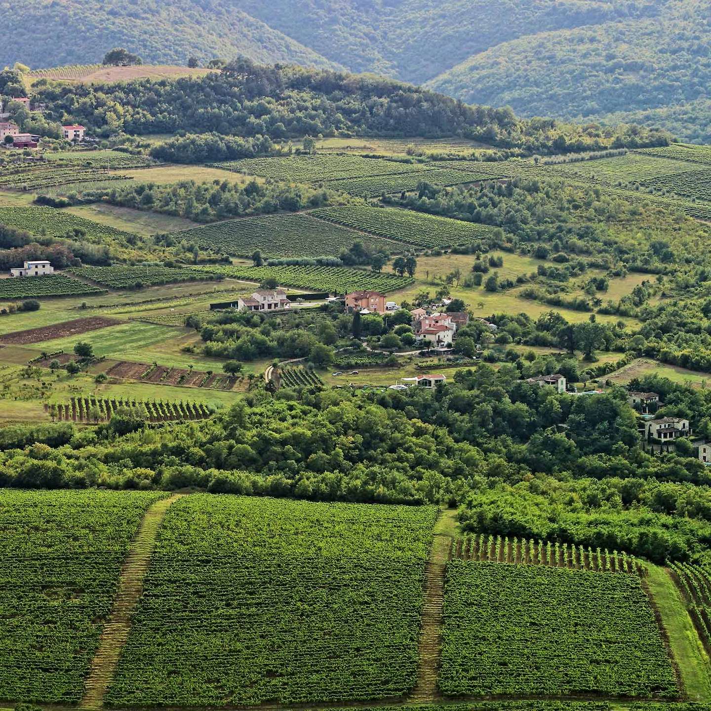 Croatia Travel Guide | Insider tips, hidden gems, itineraries and more