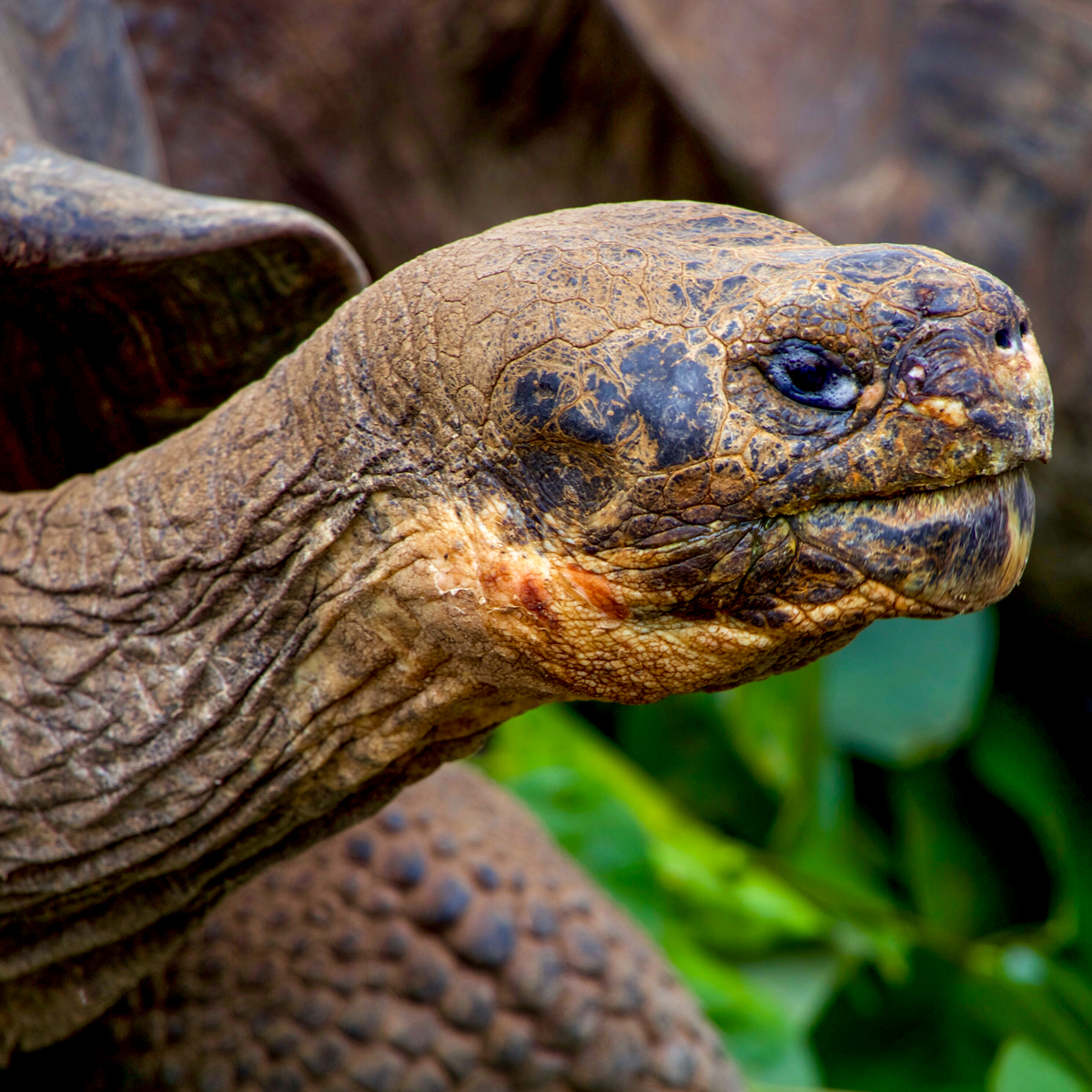 These 15 UNESCO World Heritage Sites are breathtaking