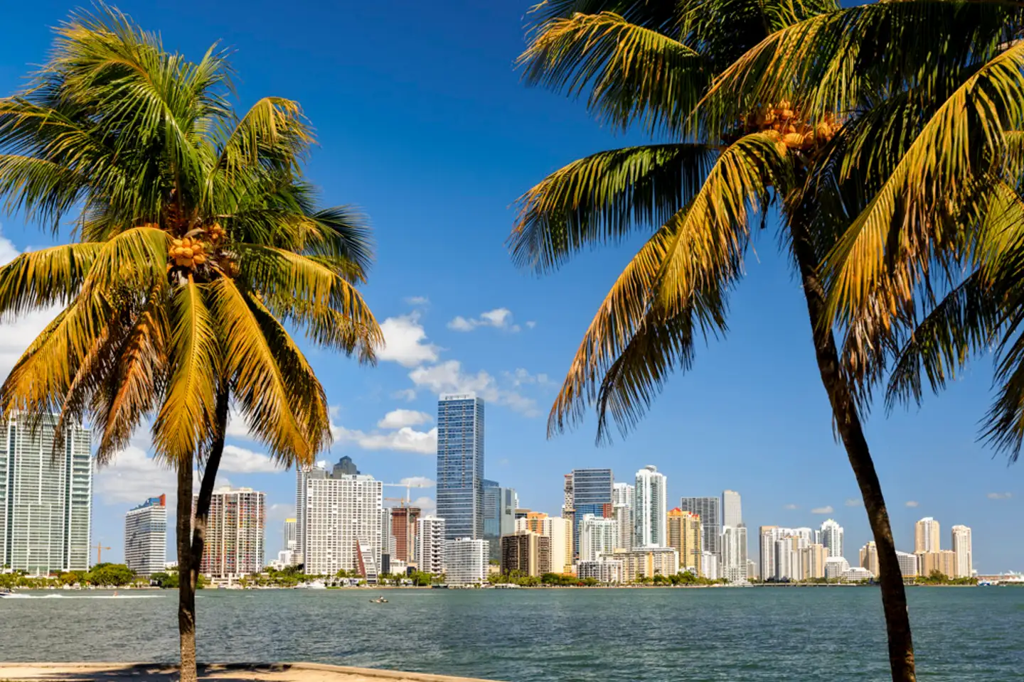 Découvrez les 8 attractions touristiques incontournables de Floride