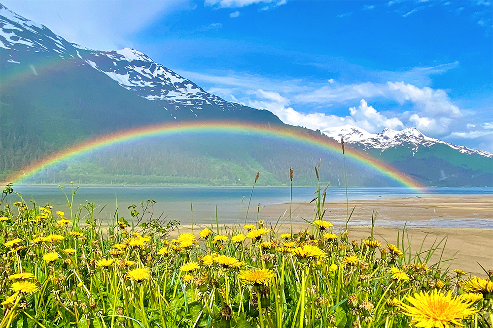 7 Epic Trails For Hiking In Alaska