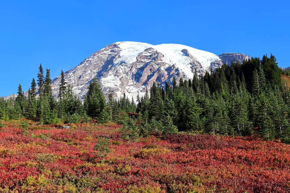 Fall in Washington: What To See and Do